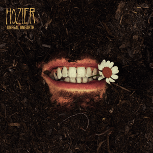 Hozier - Unreal Unearth (Vinyl 2LP) - Alleycats Music