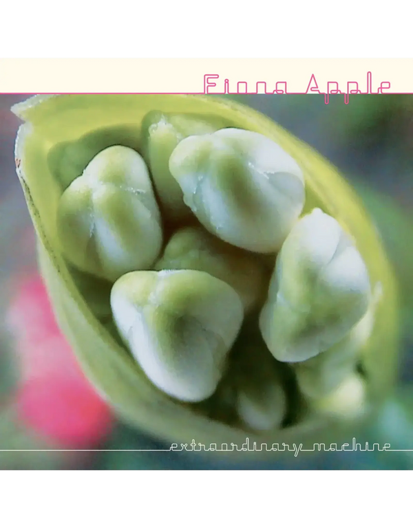 Fiona Apple - Extraordinary Machine (Vinyl LP) - Alleycats Music